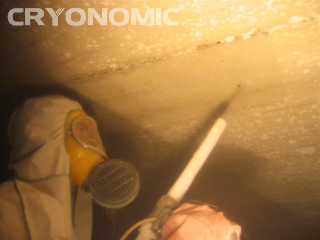 Asbestos decontamination